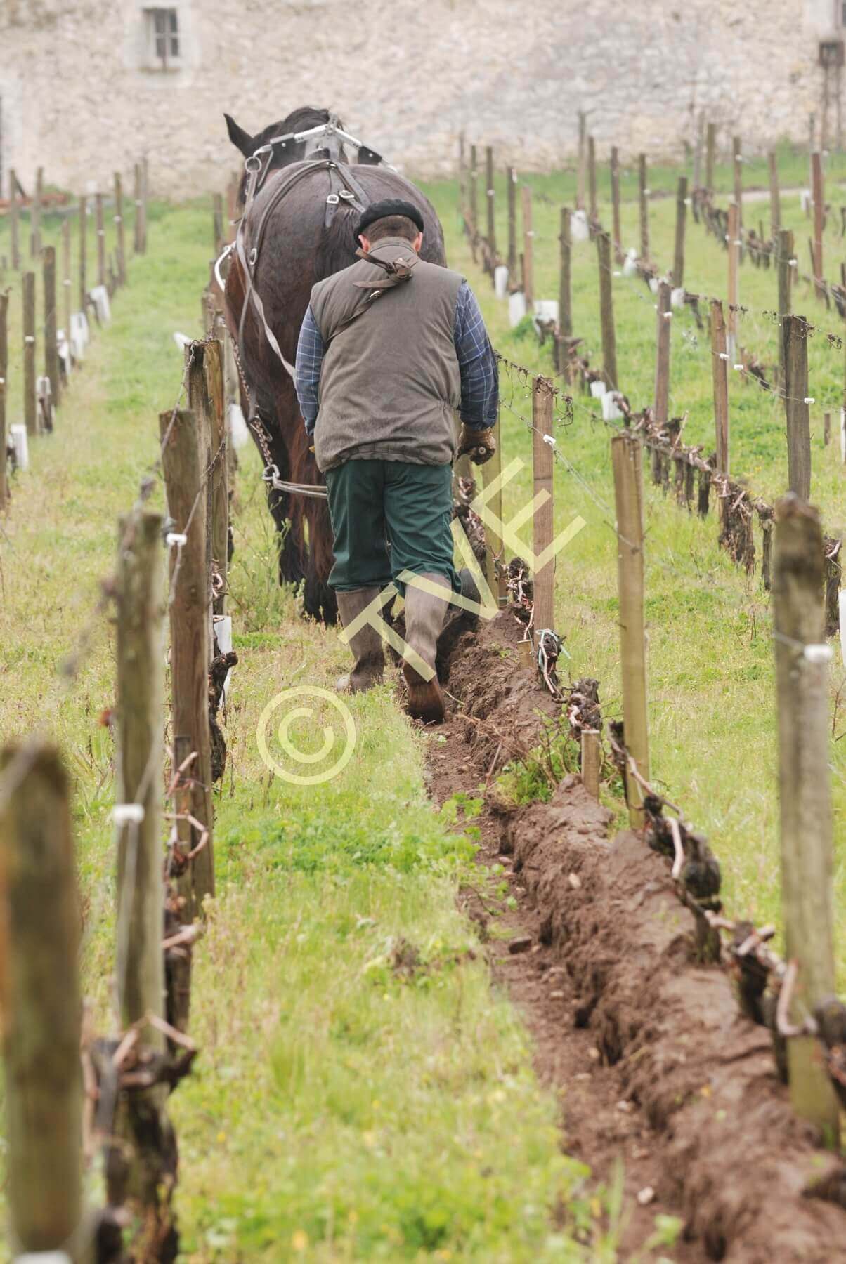 Charrue - Cheval-et-vigne.fr